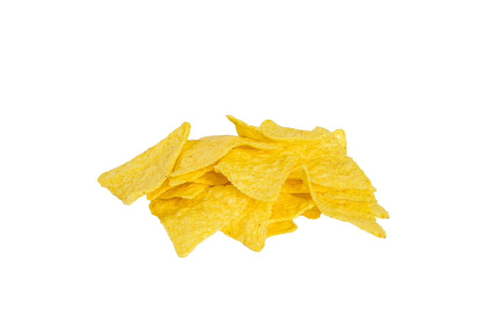 Nachos • Flower burger